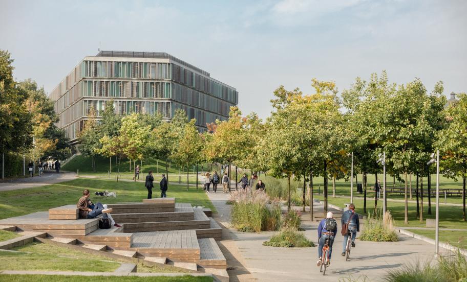 Profile | CBS - Copenhagen Business School